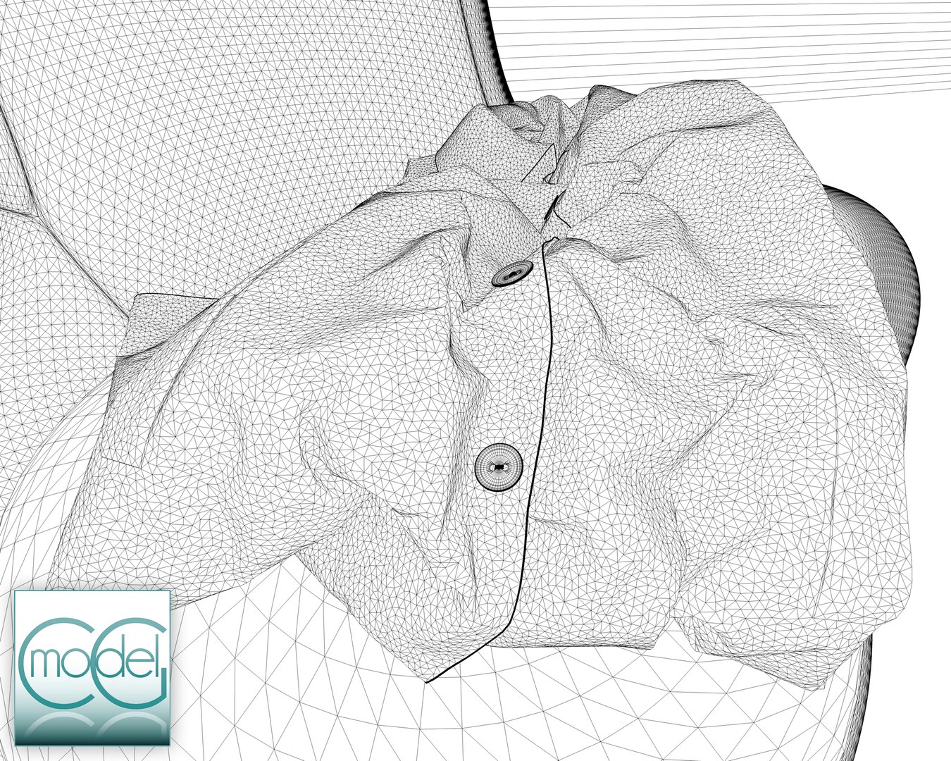 3d coat