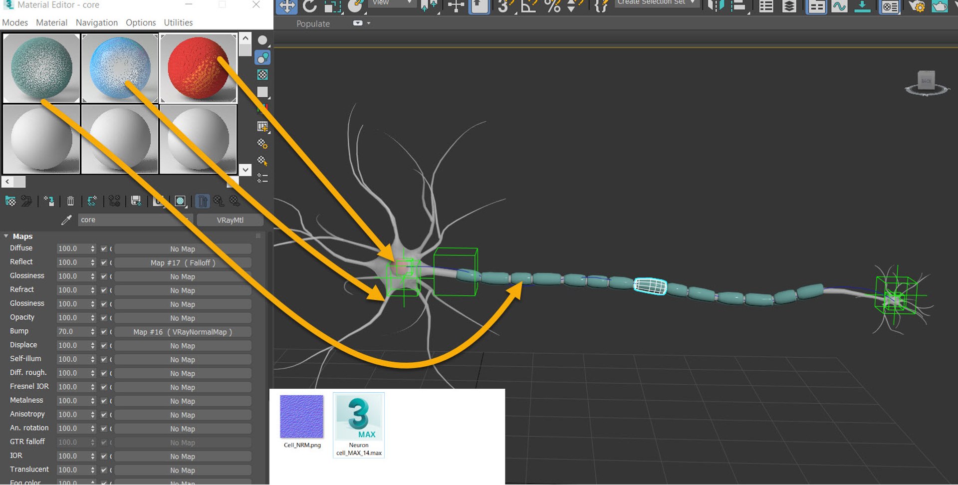 3D Neuron Cell Model - TurboSquid 1402771