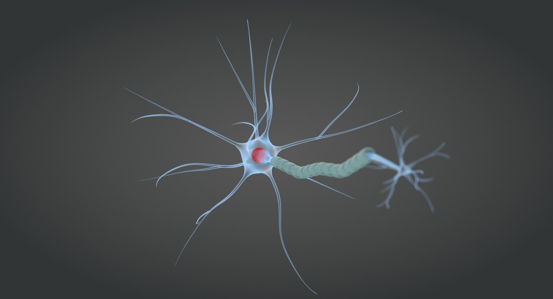3D Neuron Cell Model - TurboSquid 1402771