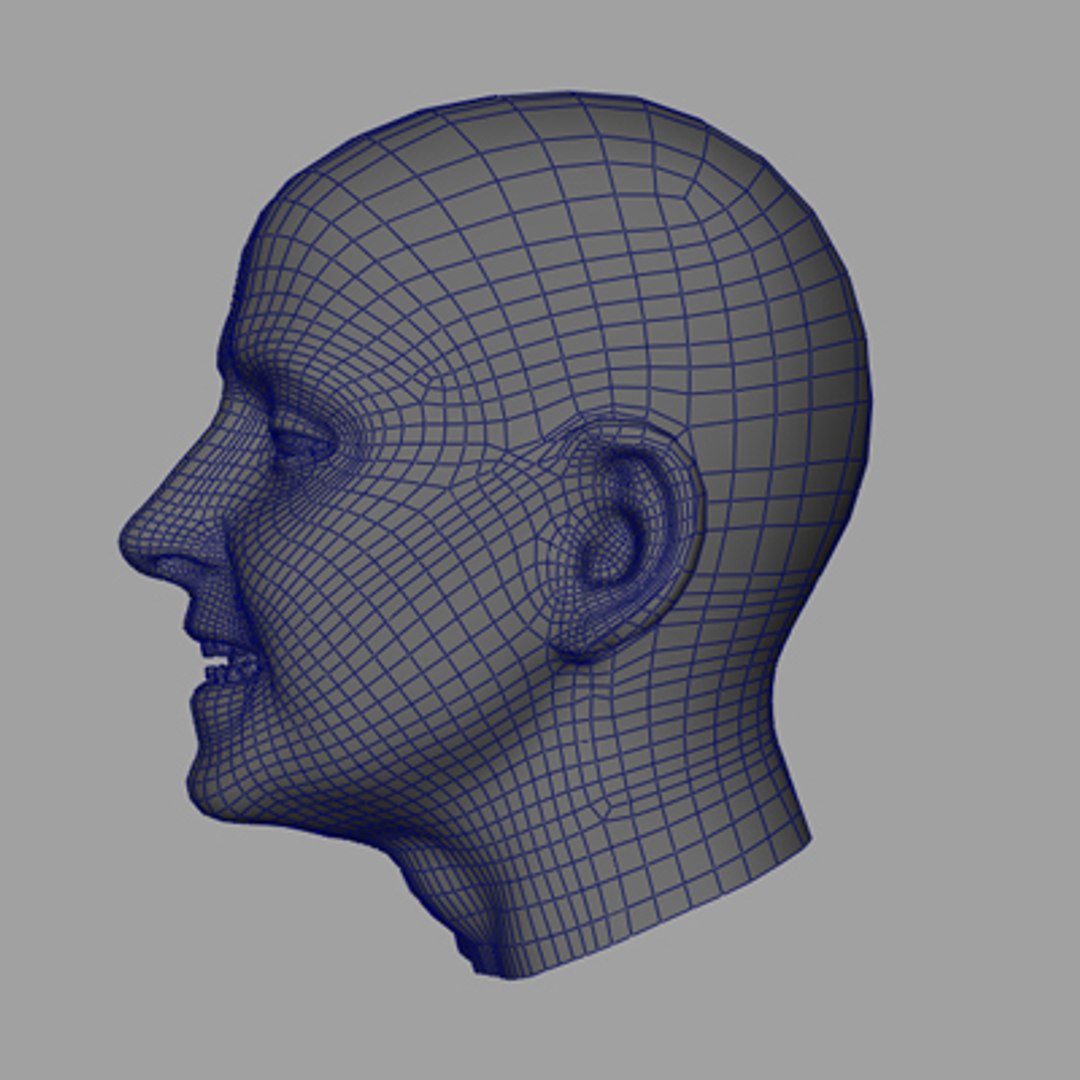Face 3d Model