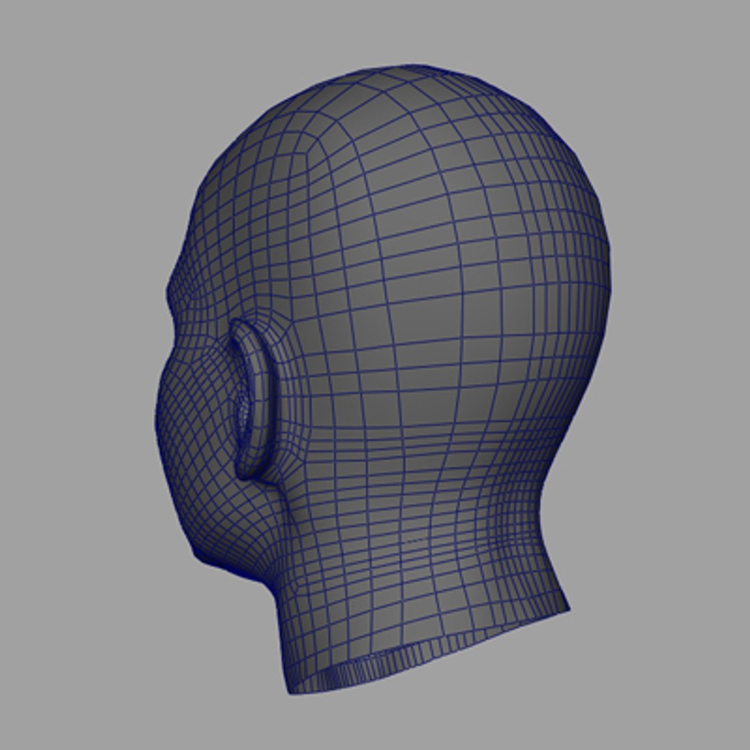 Face 3d Model