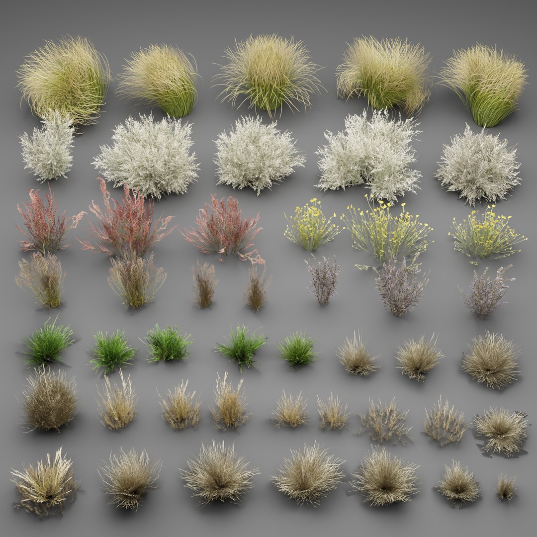 3D Model Wild Grass Low Poly Bundle 2024 Over 40 Models - TurboSquid ...