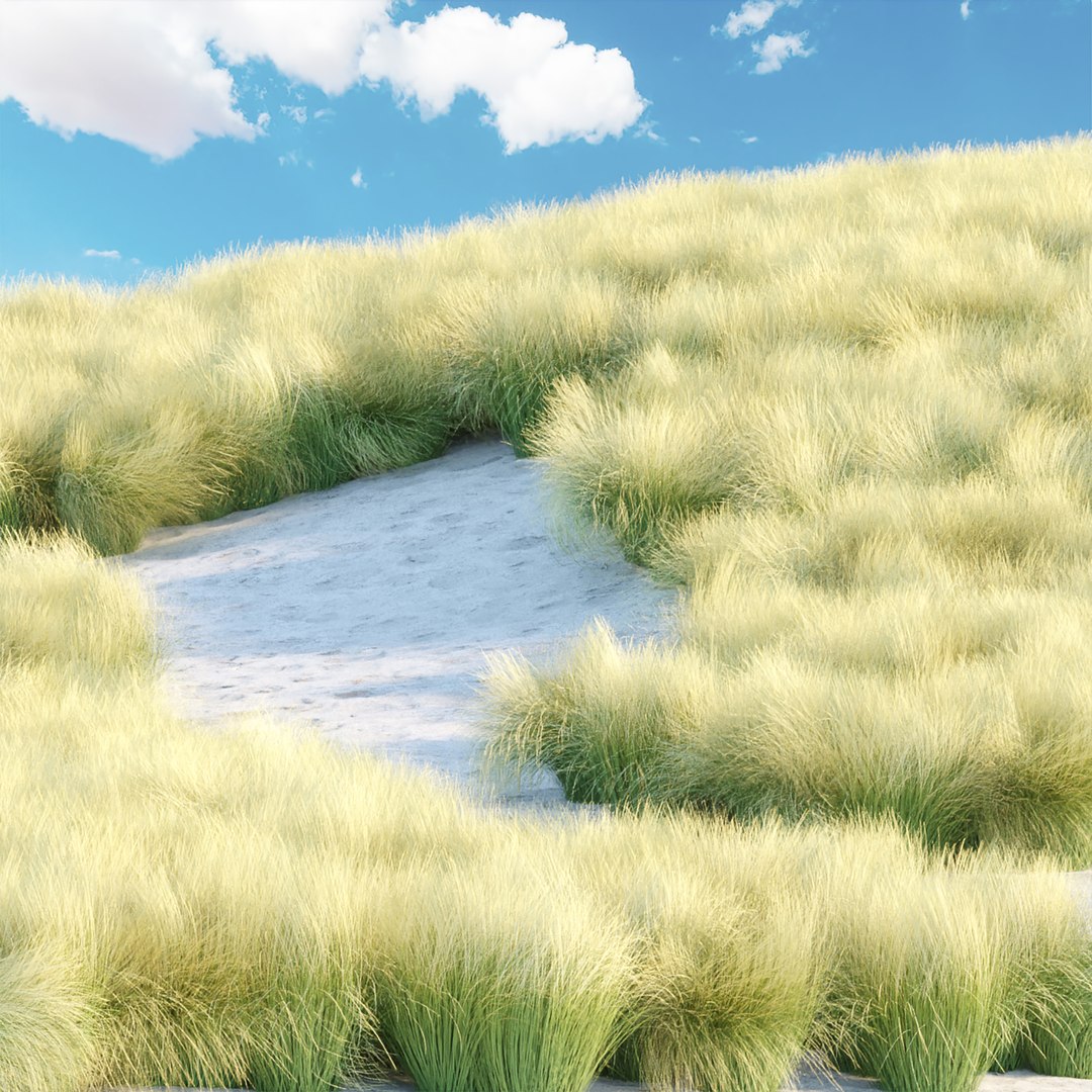 3D Model Wild Grass Low Poly Bundle 2024 Over 40 Models - TurboSquid ...