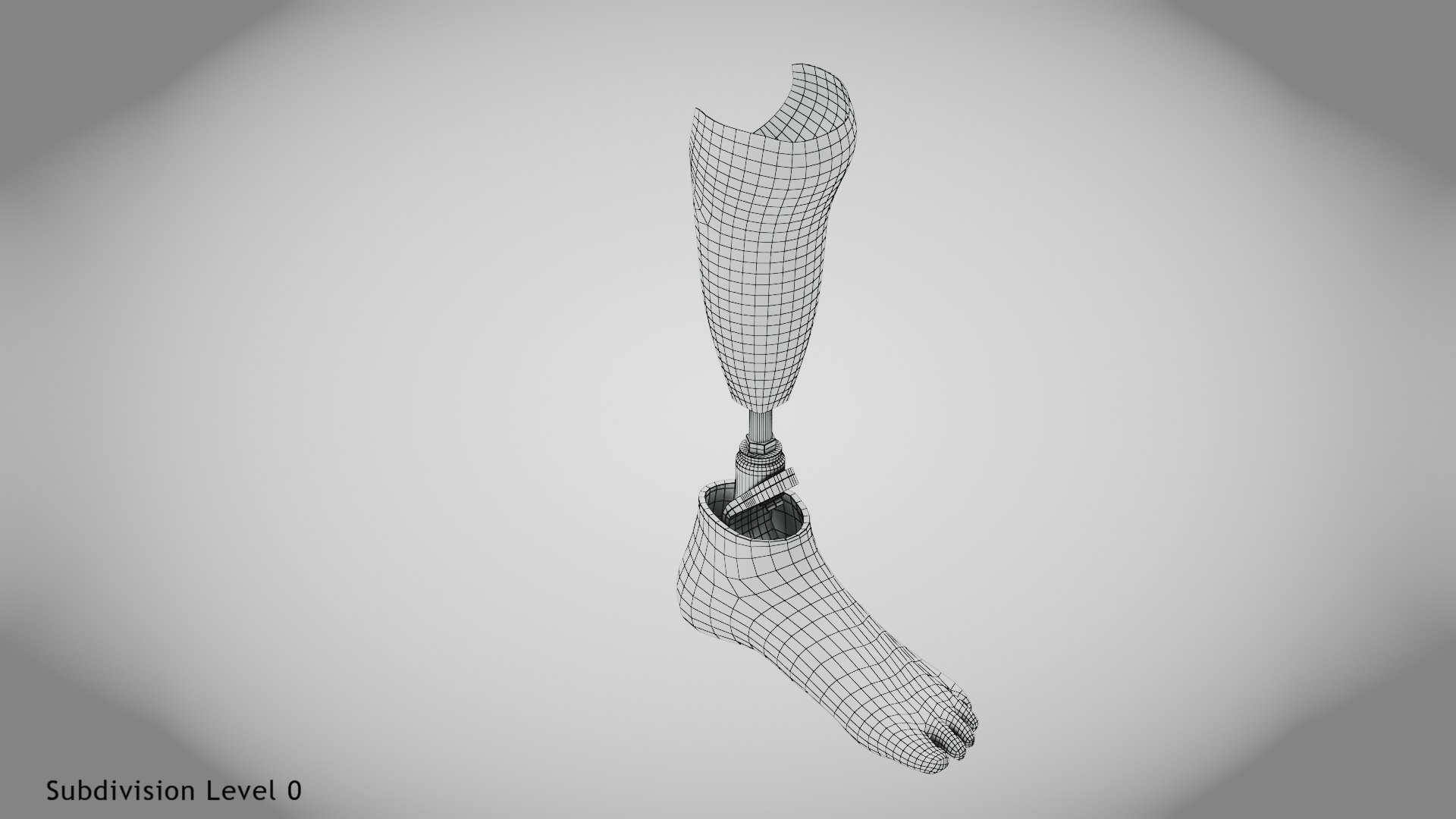 Below Knee Prosthetics V2 3D Model - TurboSquid 2133370
