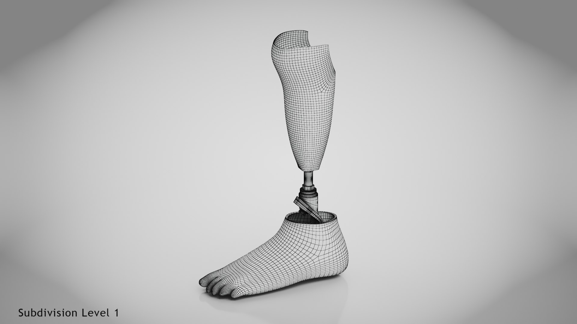 Below Knee Prosthetics V2 3D Model - TurboSquid 2133370