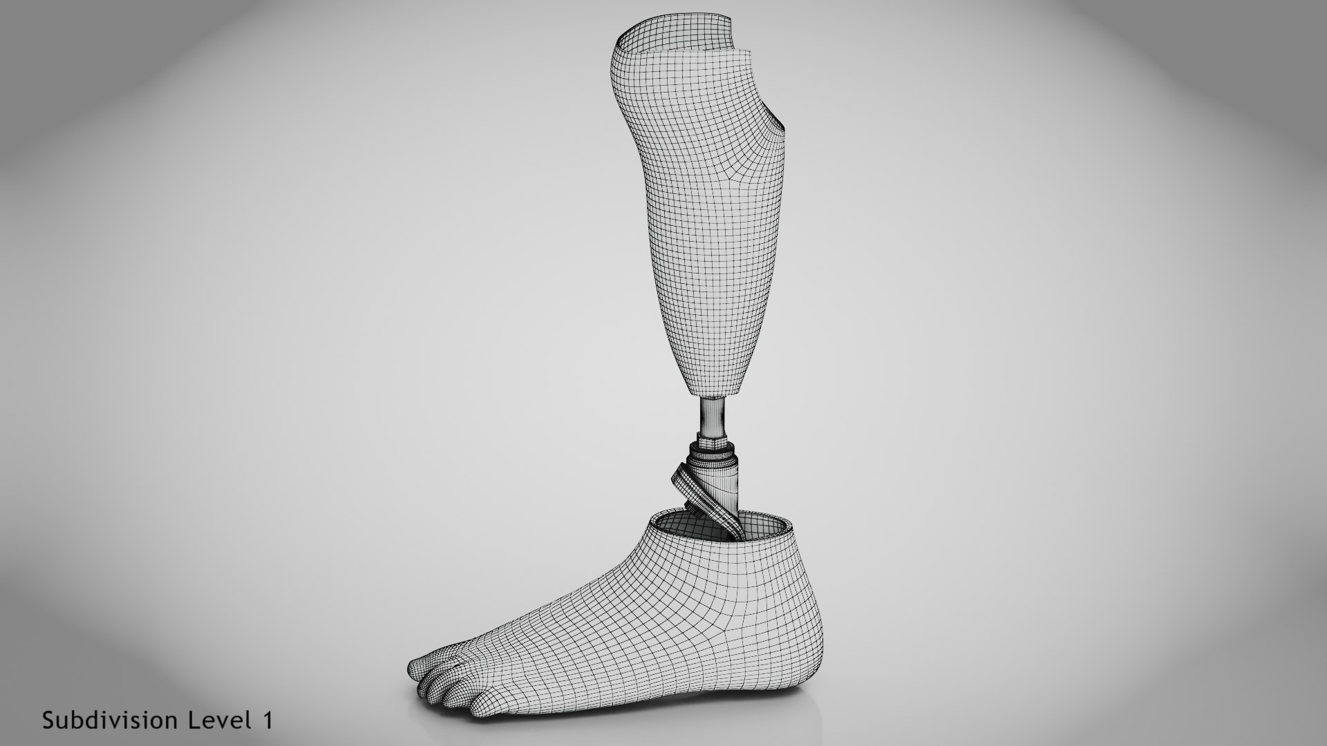 Below Knee Prosthetics V2 3D Model - TurboSquid 2133370