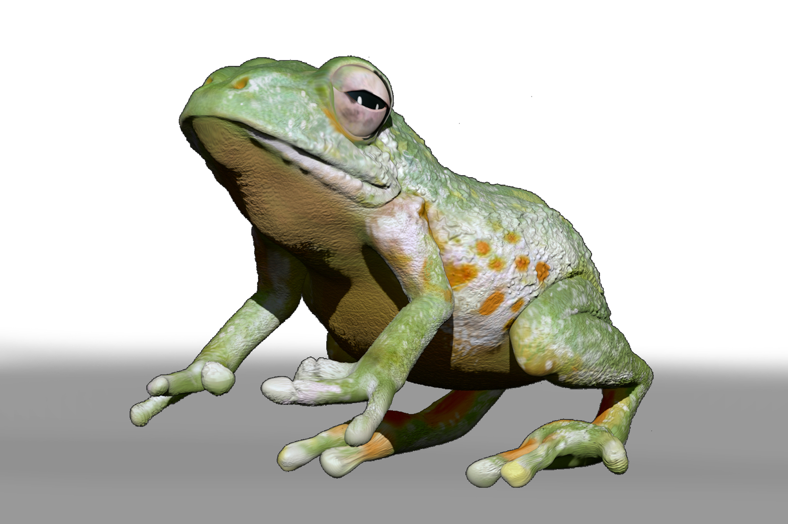 3D Realistic Frog Sculpt - TurboSquid 1736502