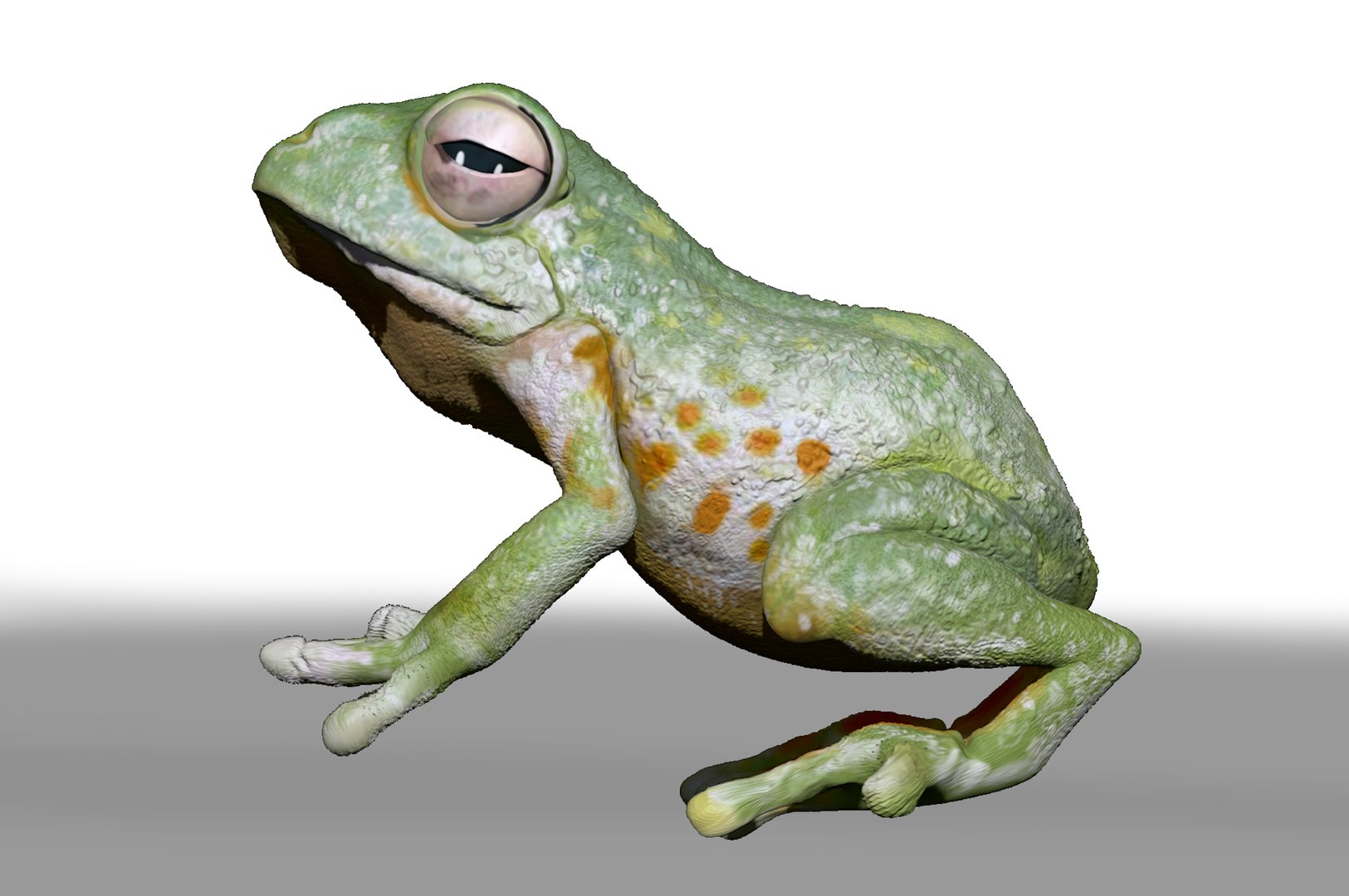 3D Realistic Frog Sculpt - TurboSquid 1736502