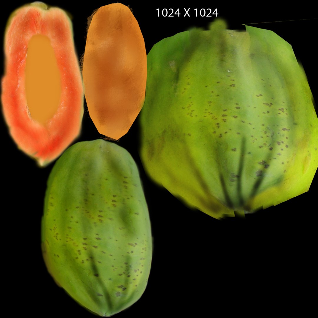 Papaya Fruit Tropics 3d Model