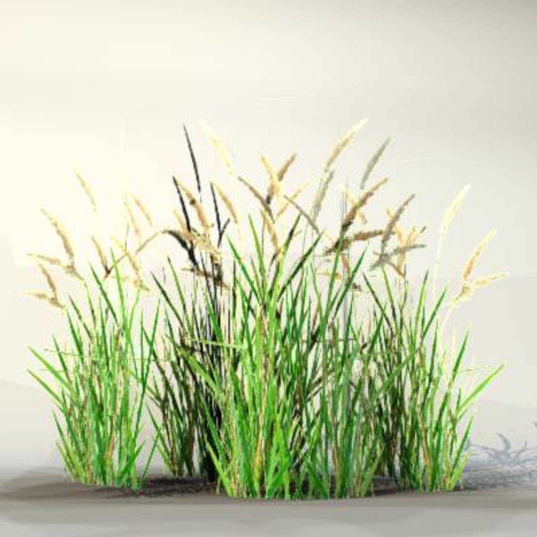 Grass Pc Ps3 3d Model