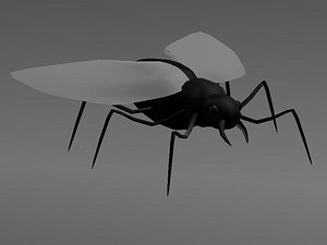 Free 3D Fly Models - Available For Download On TurboSquid