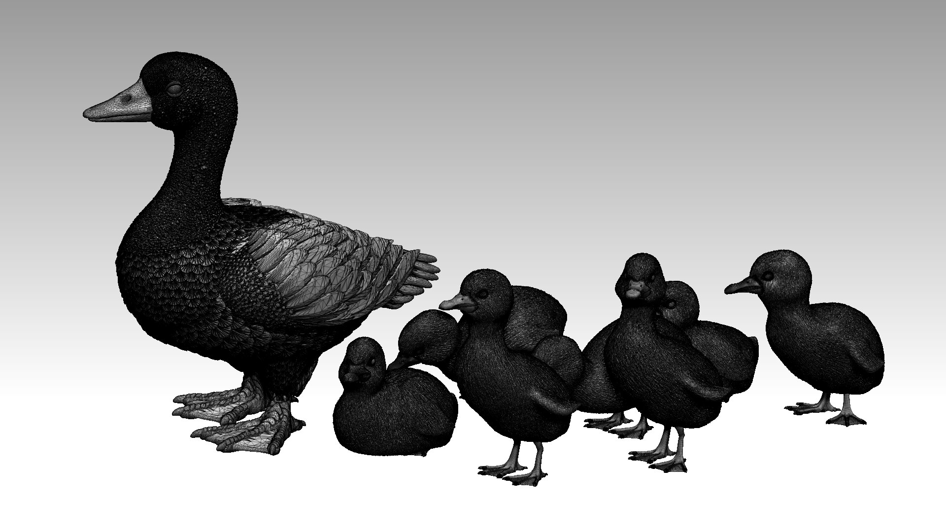 Duckling Duck 3D Model - TurboSquid 2149262