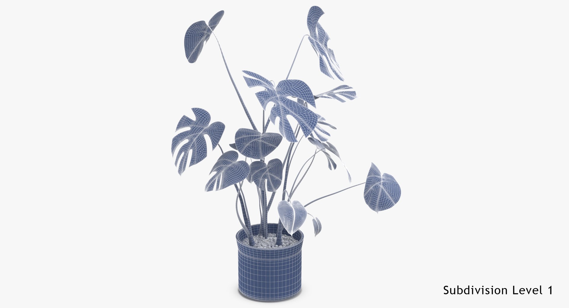 3D House Plant 03 Model - TurboSquid 1350875