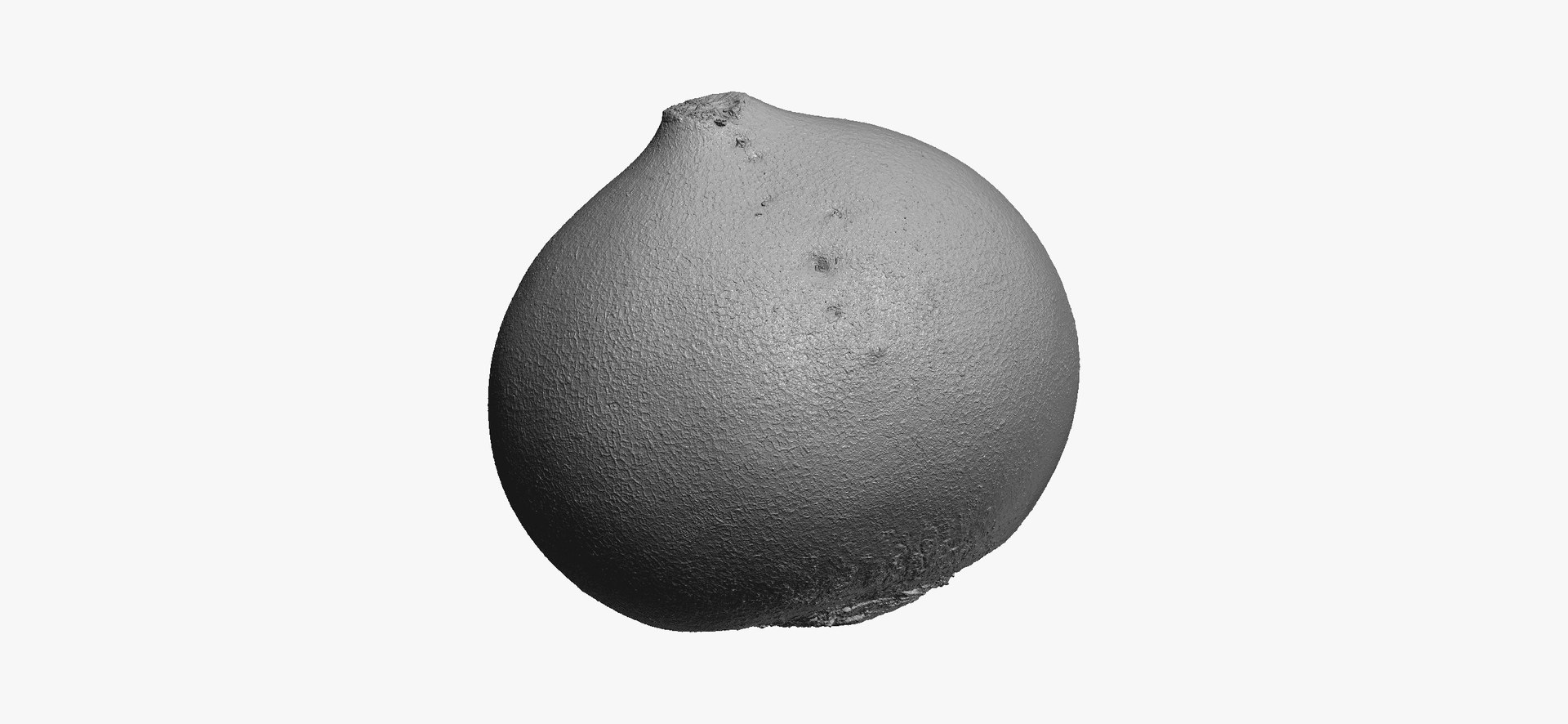 3D Model Turnip Black 05 Raw - TurboSquid 1665134