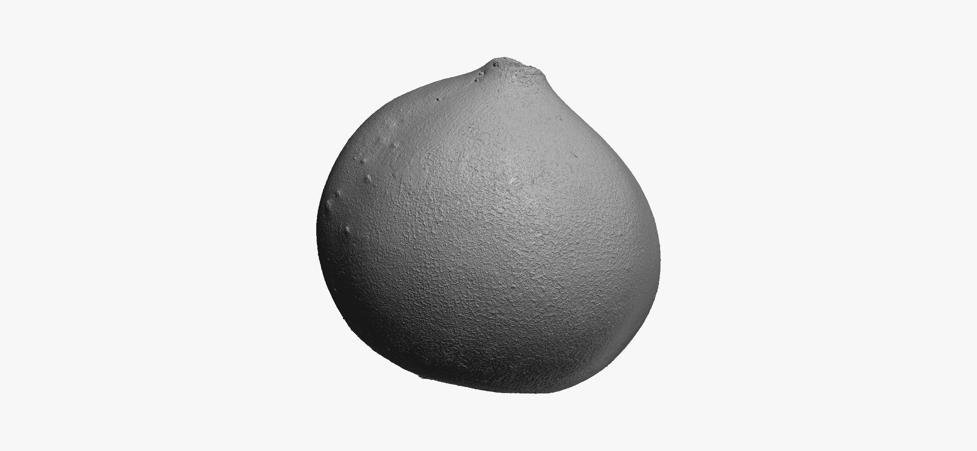 3D Model Turnip Black 05 Raw - TurboSquid 1665134