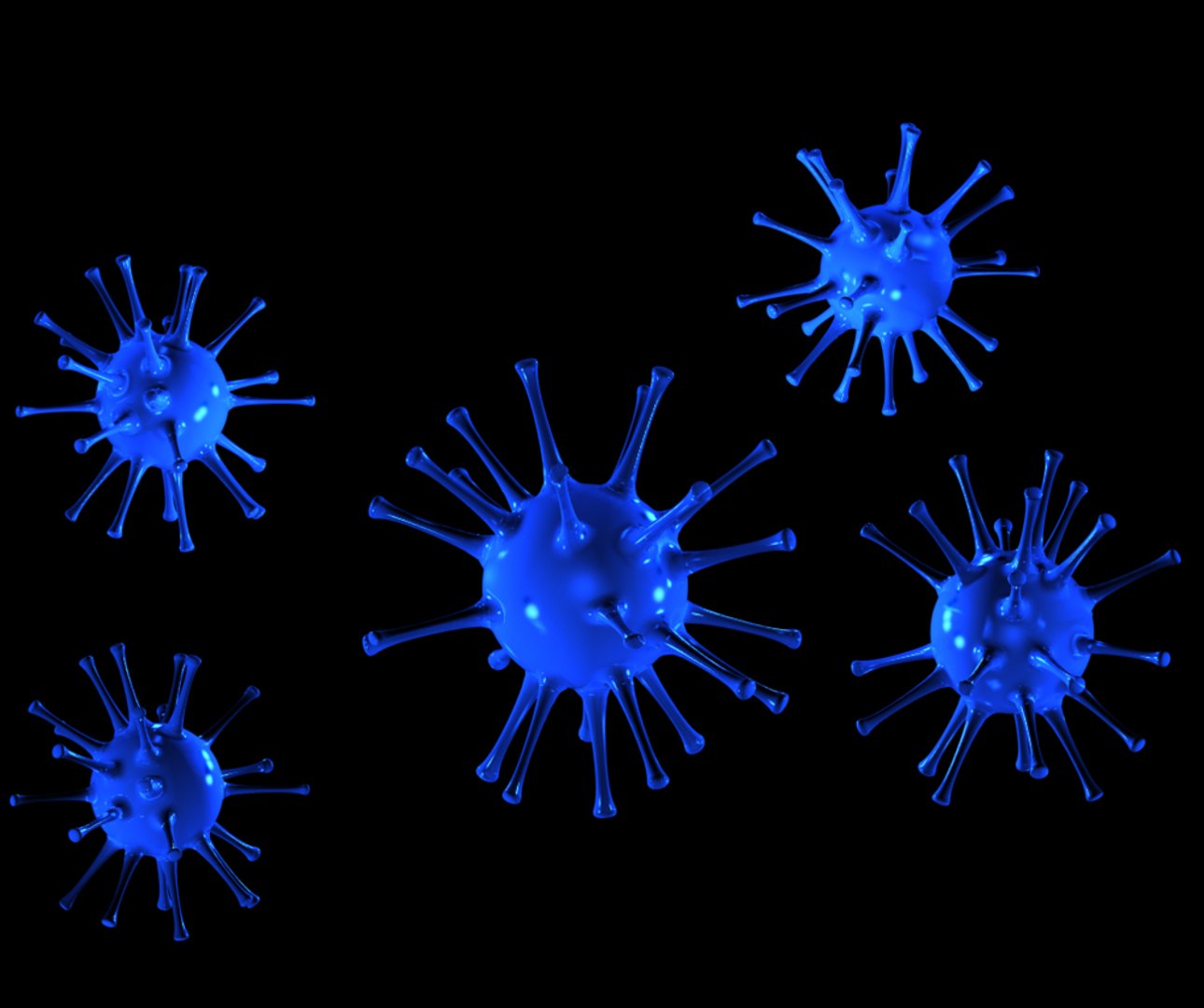 3d Model Common Cold Cell