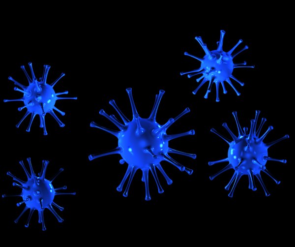 3d model common cold cell