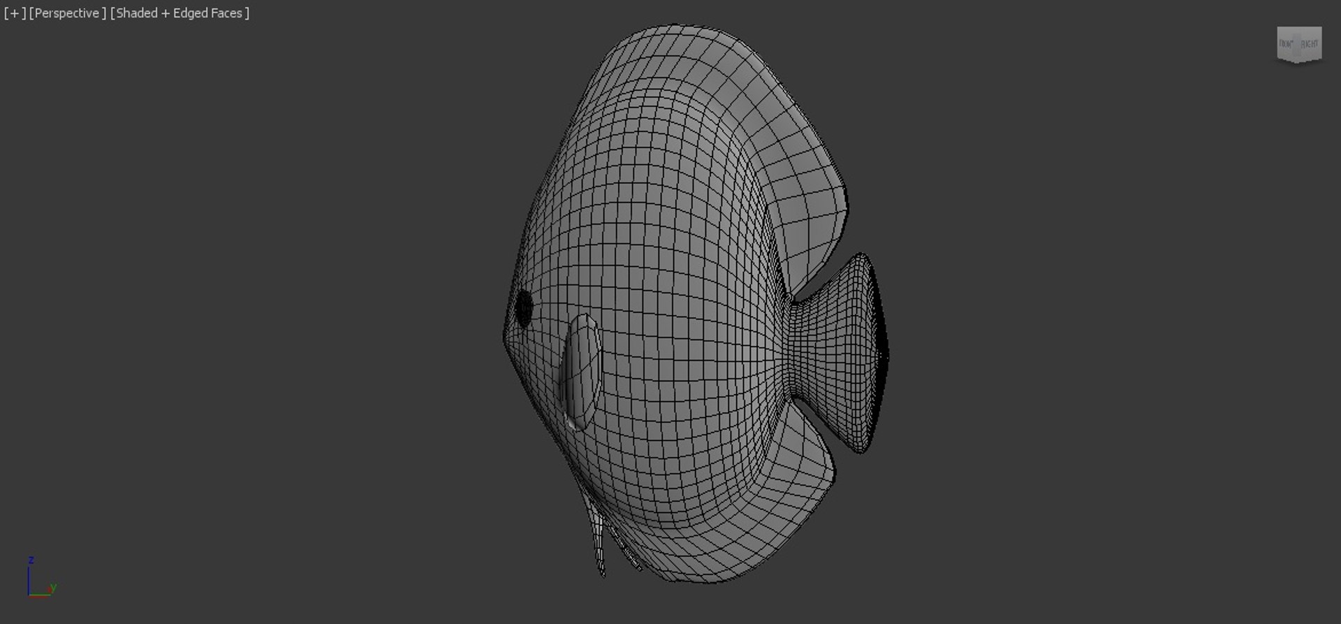 16 Discus Fish 3D Model - TurboSquid 1234141
