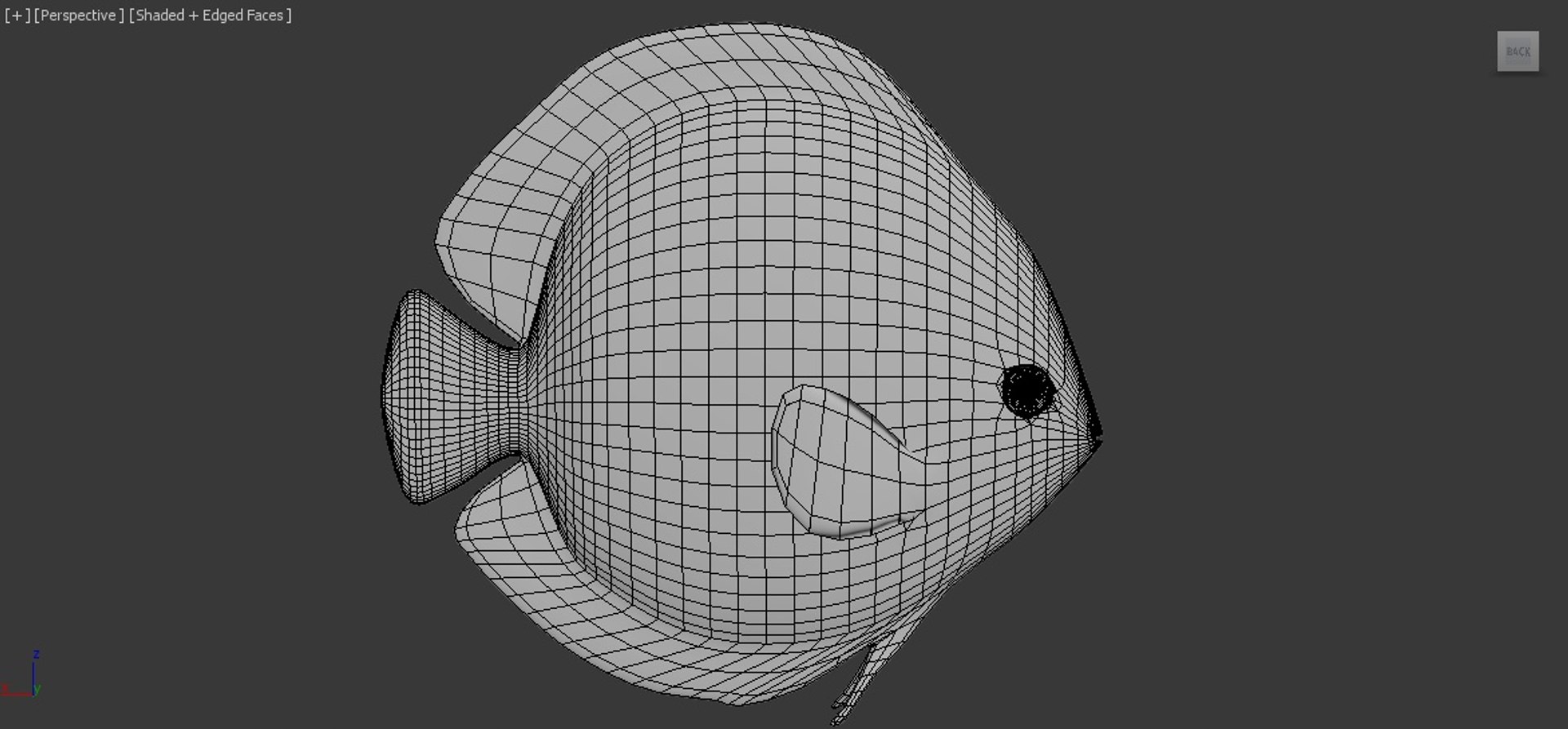 16 Discus Fish 3D Model - TurboSquid 1234141
