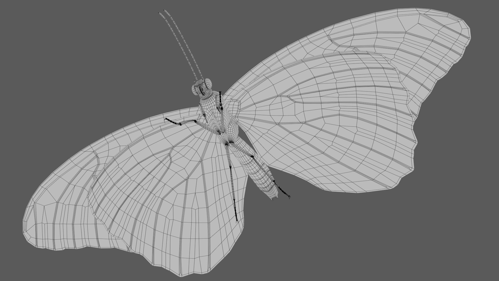 Blue Morpho Butterfly Rigged 3D - TurboSquid 2017327