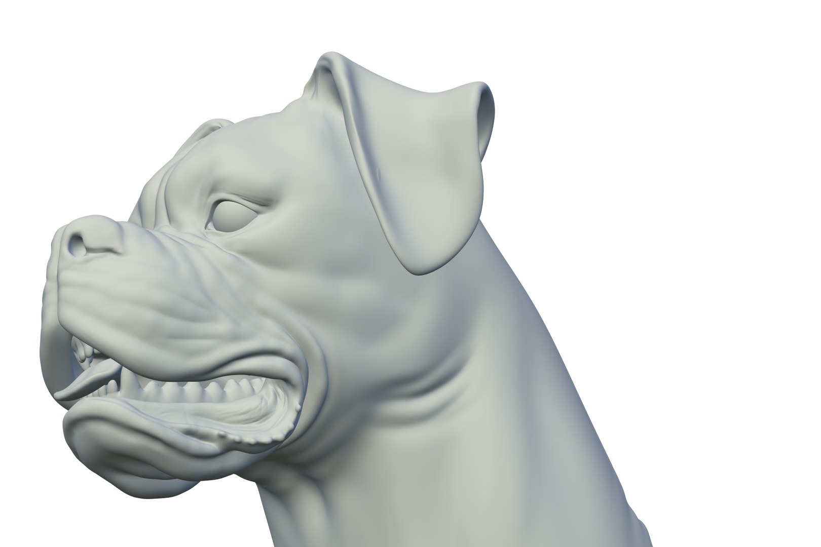 Boxer 3D Model - TurboSquid 2214005