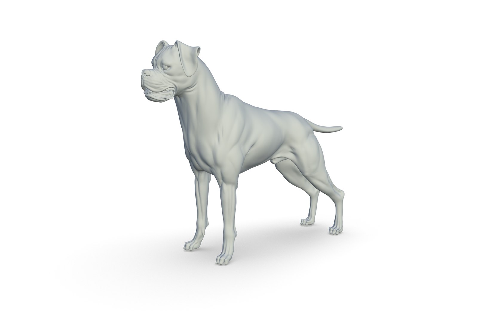 Boxer 3D Model - TurboSquid 2214005