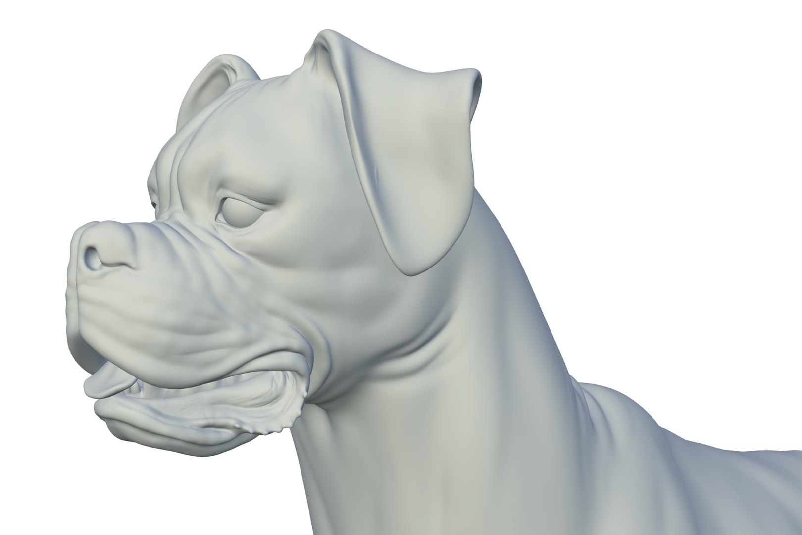 Boxer 3D Model - TurboSquid 2214005