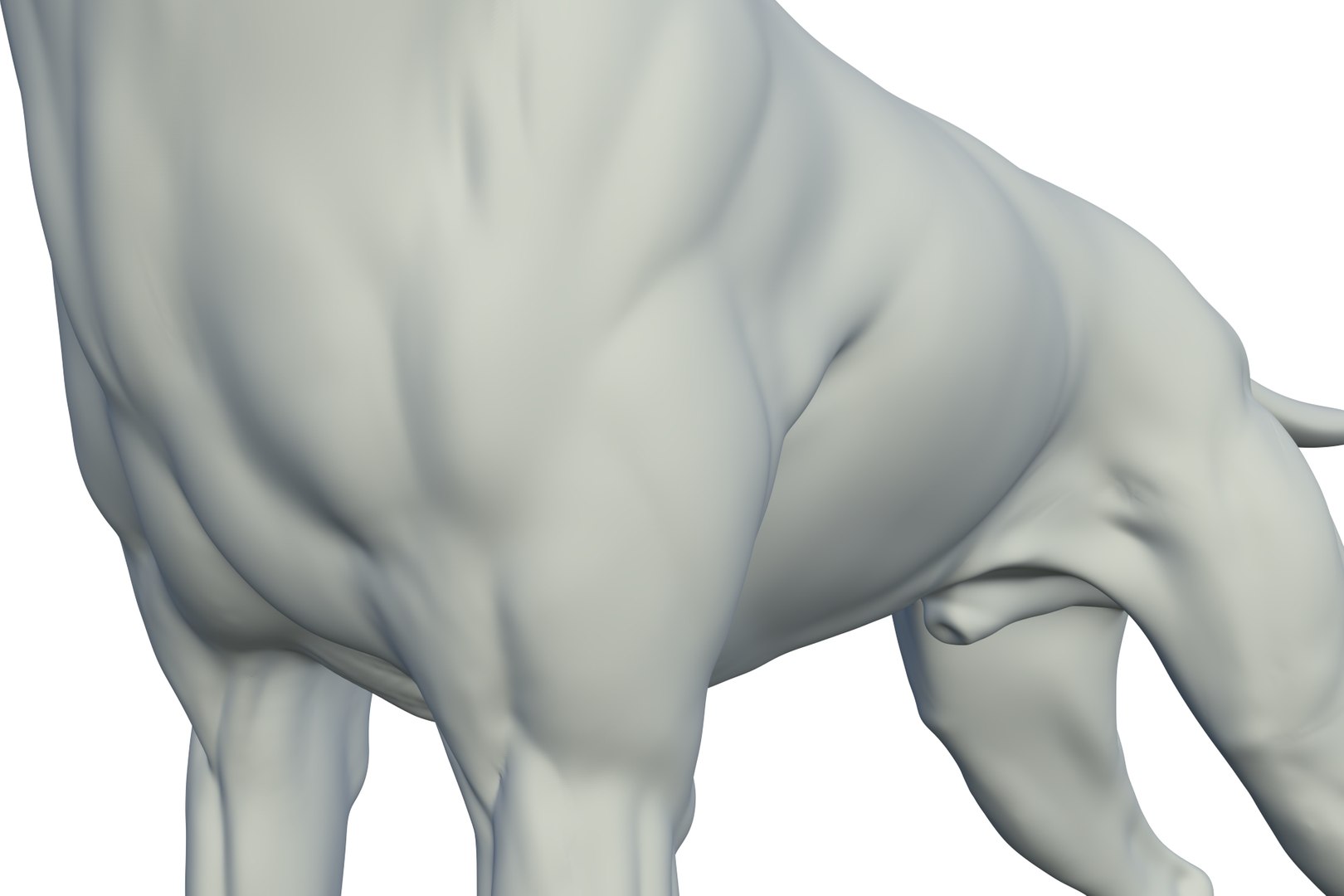 Boxer 3D Model - TurboSquid 2214005