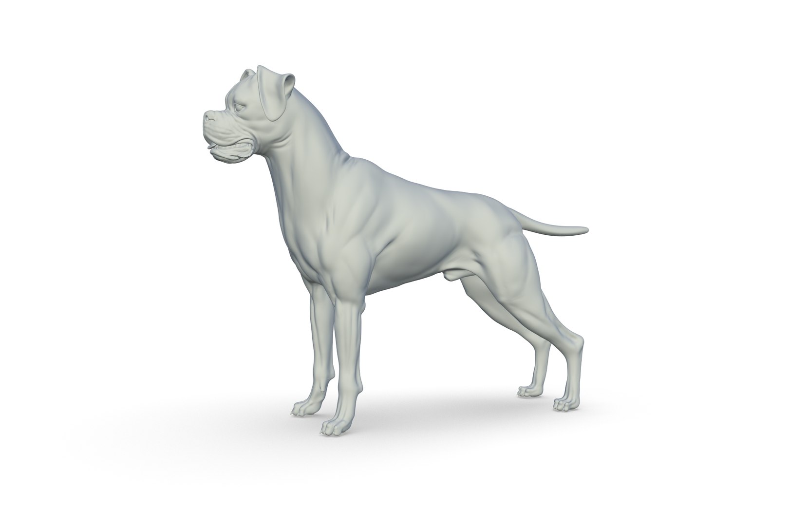 Boxer 3D Model - TurboSquid 2214005