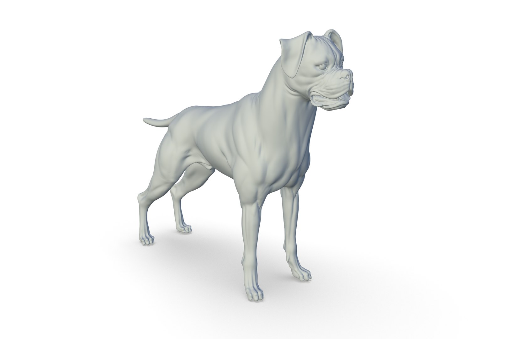 Boxer 3D Model - TurboSquid 2214005