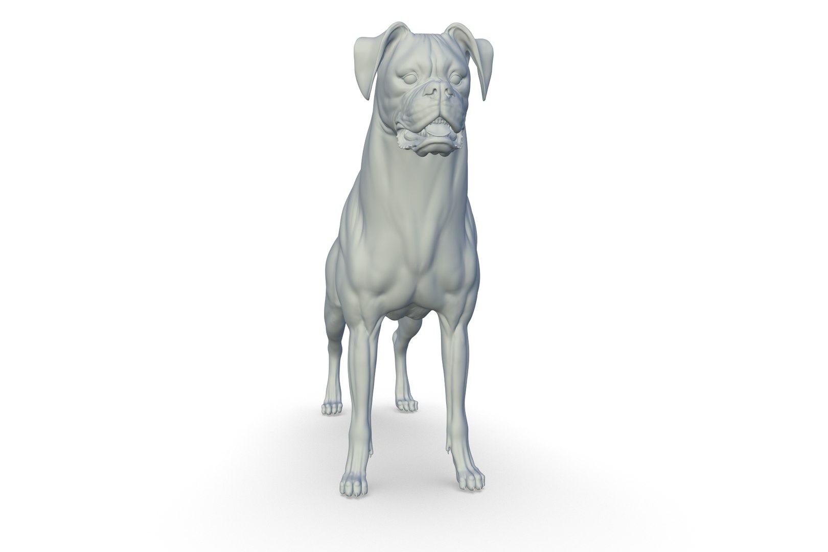 Boxer 3D Model - TurboSquid 2214005