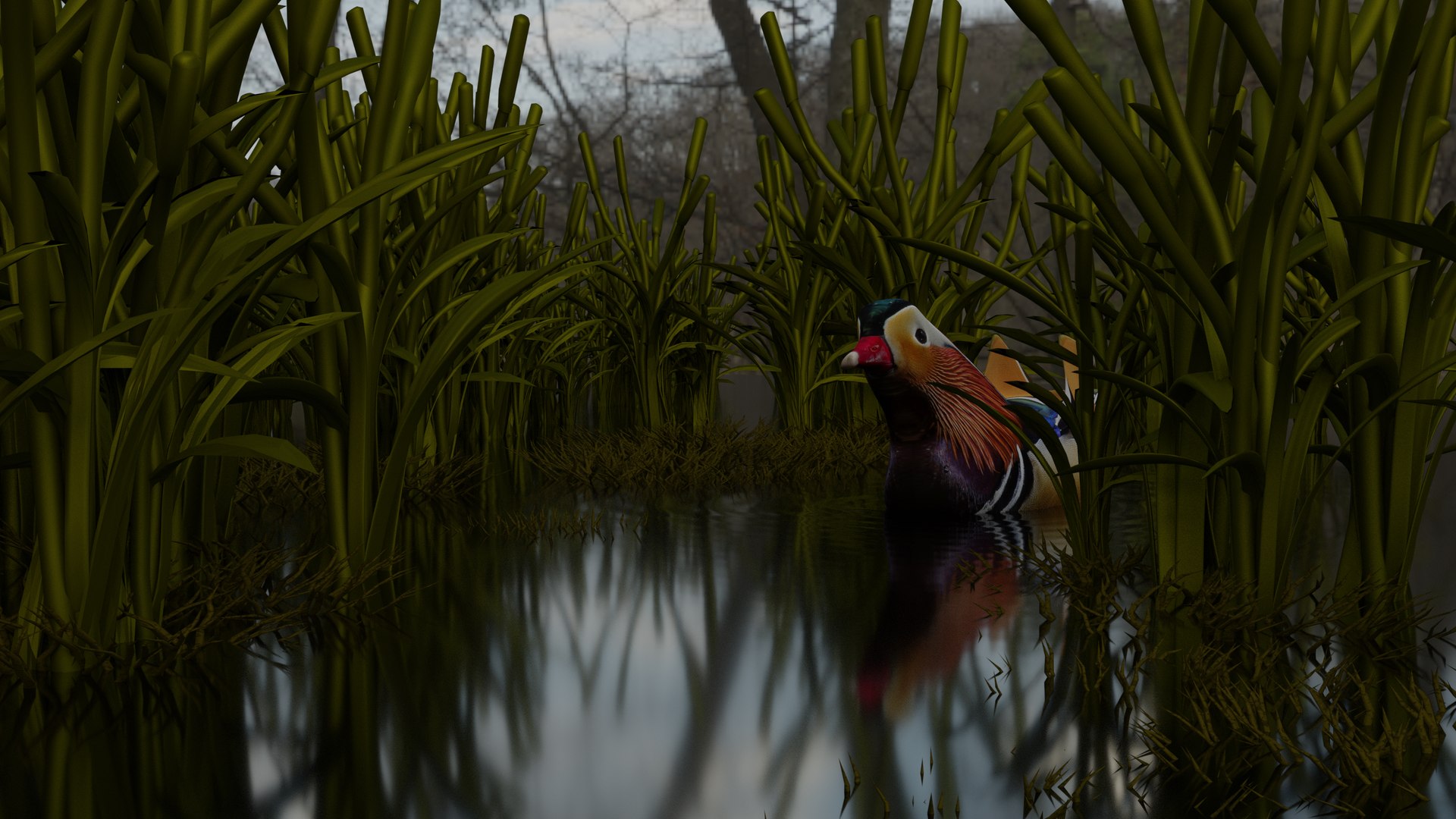 3D animation water wildlife duck - TurboSquid 1645885