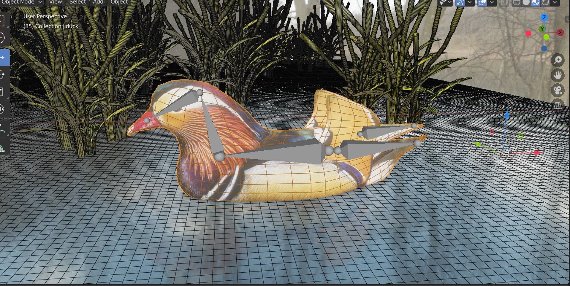 3D animation water wildlife duck - TurboSquid 1645885