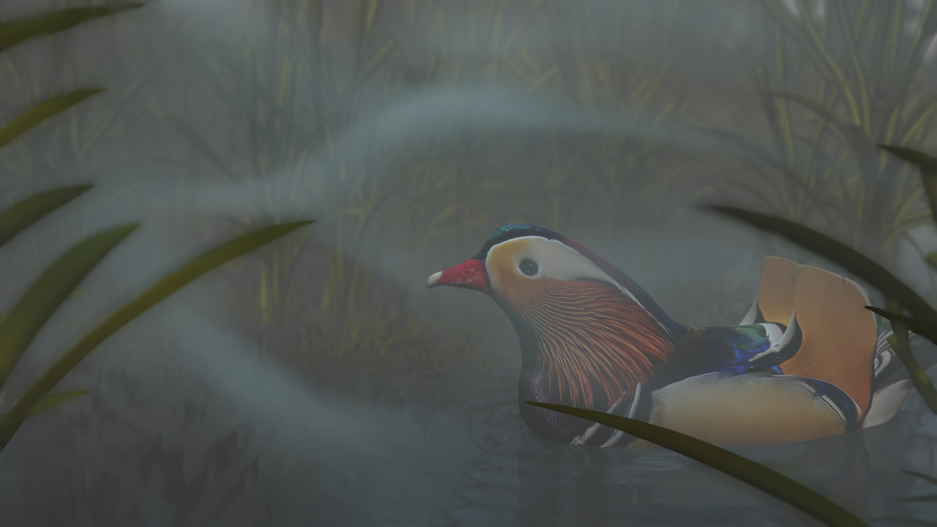 3D animation water wildlife duck - TurboSquid 1645885