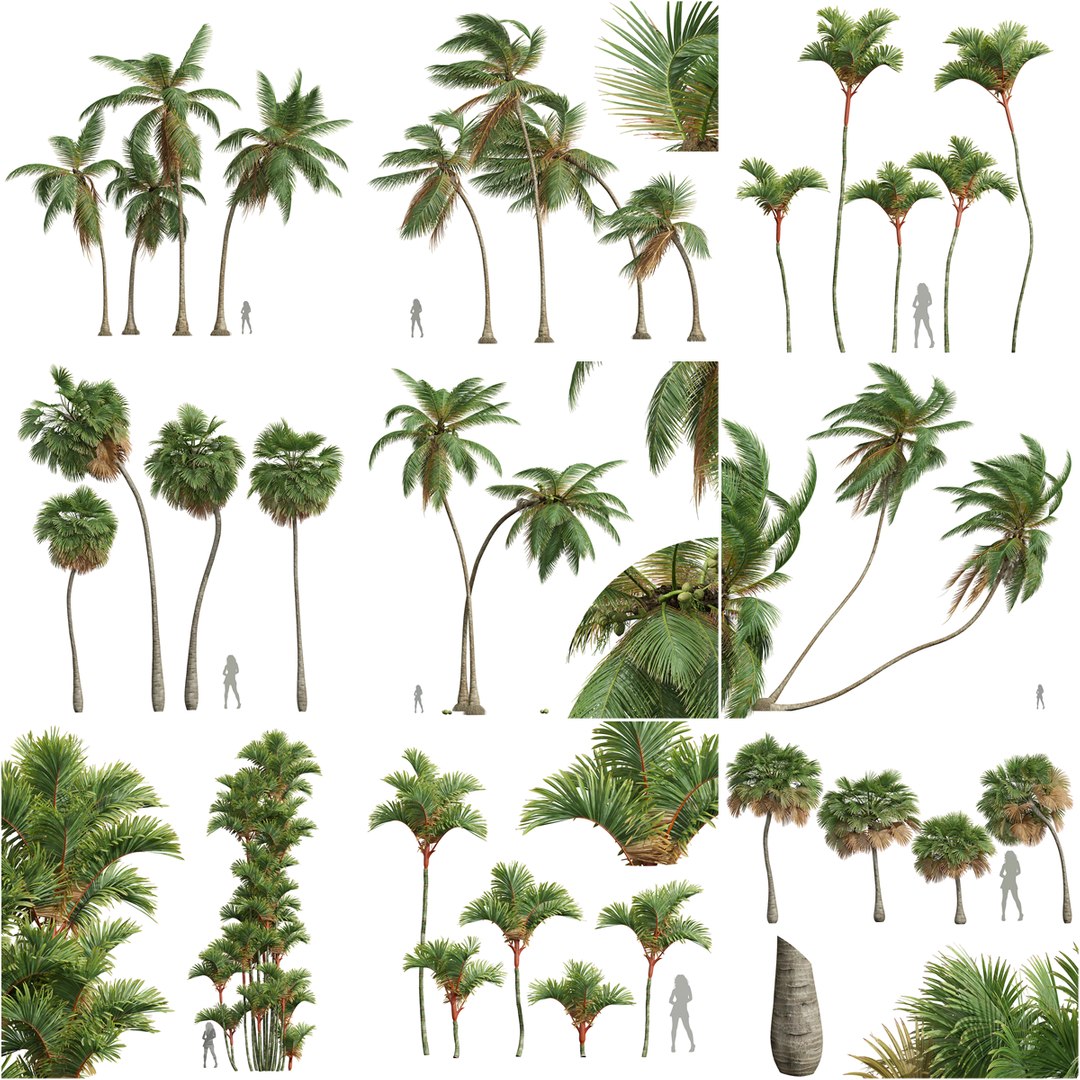 3D 9 Different SETS Of Tree Set Vol 23 Model - TurboSquid 2185841