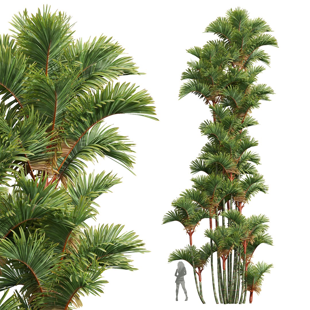 3D 9 Different SETS Of Tree Set Vol 23 Model - TurboSquid 2185841