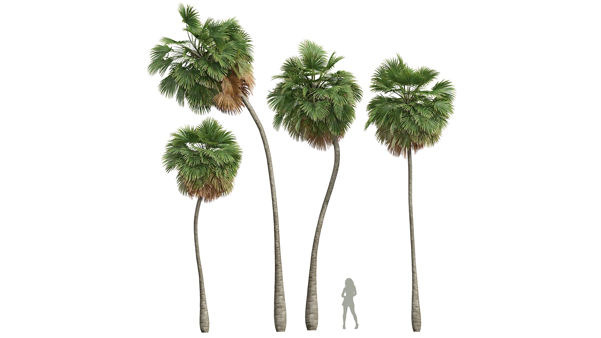 3D 9 Different SETS Of Tree Set Vol 23 Model - TurboSquid 2185841