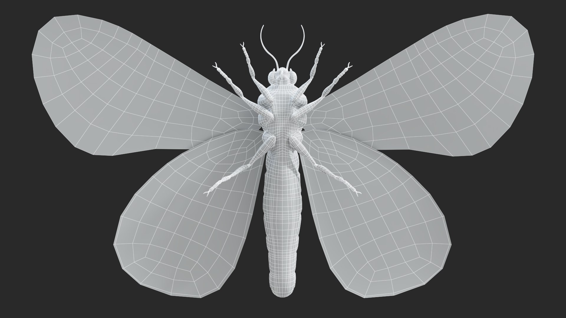 Owl Moth Static 3D Model - TurboSquid 2068434
