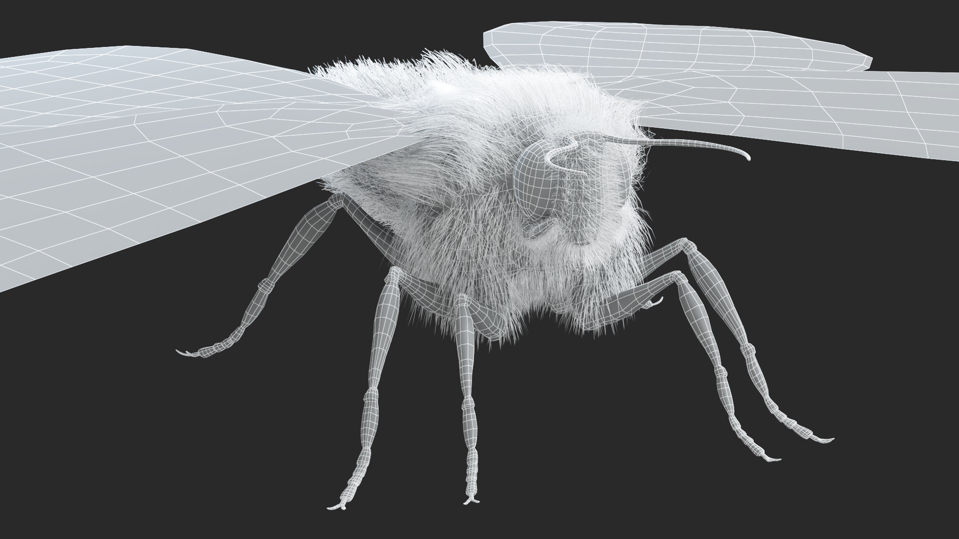 Owl Moth Static 3D Model - TurboSquid 2068434