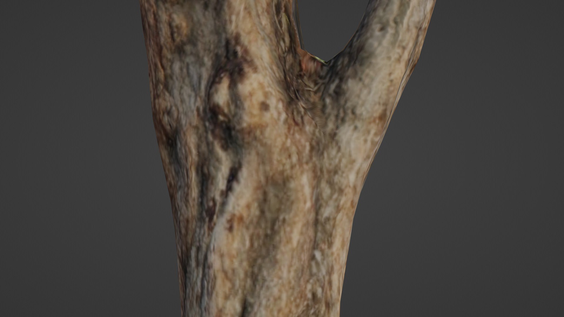 Tree Trunk 3D Model - TurboSquid 2332105