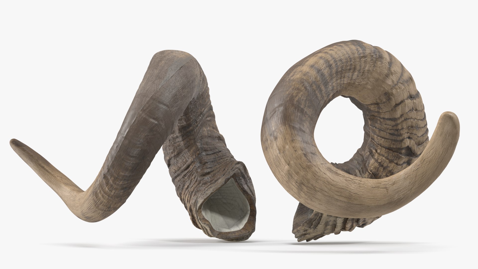 Animal Twisted Horns Dark 3D model - TurboSquid 1953130