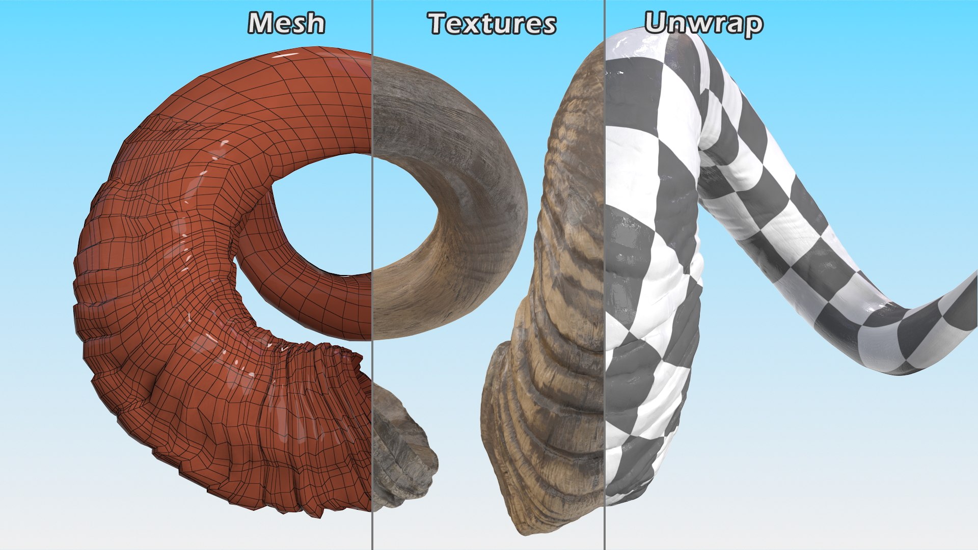Animal Twisted Horns Dark 3D model - TurboSquid 1953130