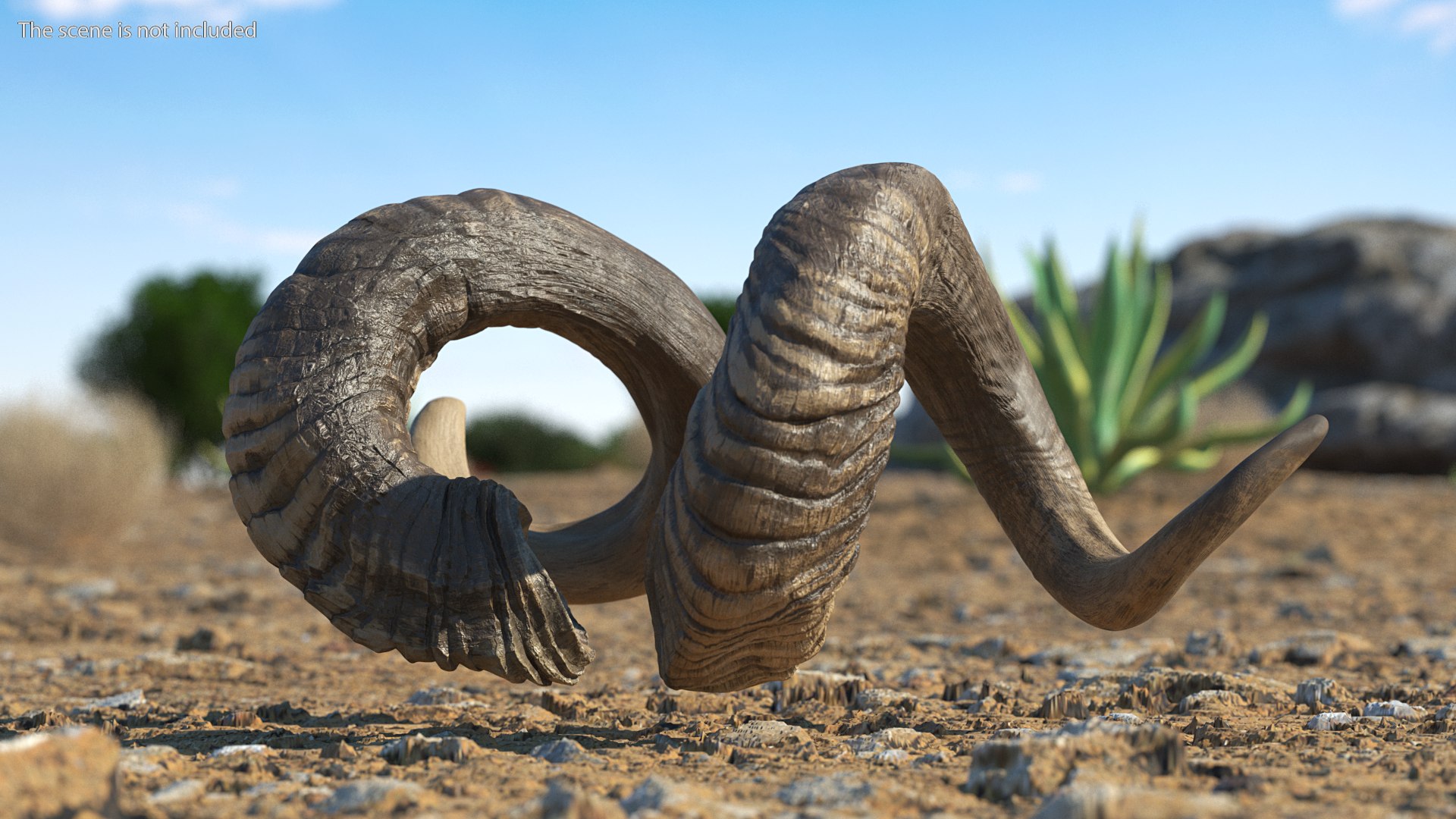 Animal Twisted Horns Dark 3D model - TurboSquid 1953130