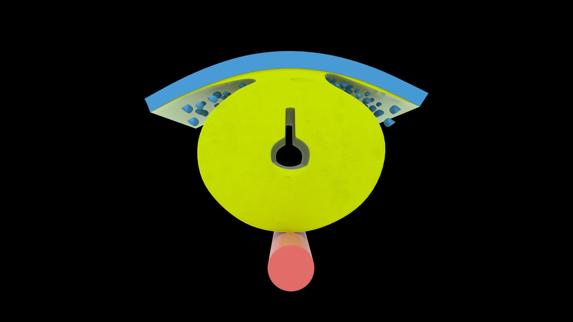 3D Neurulation Model - TurboSquid 2187645