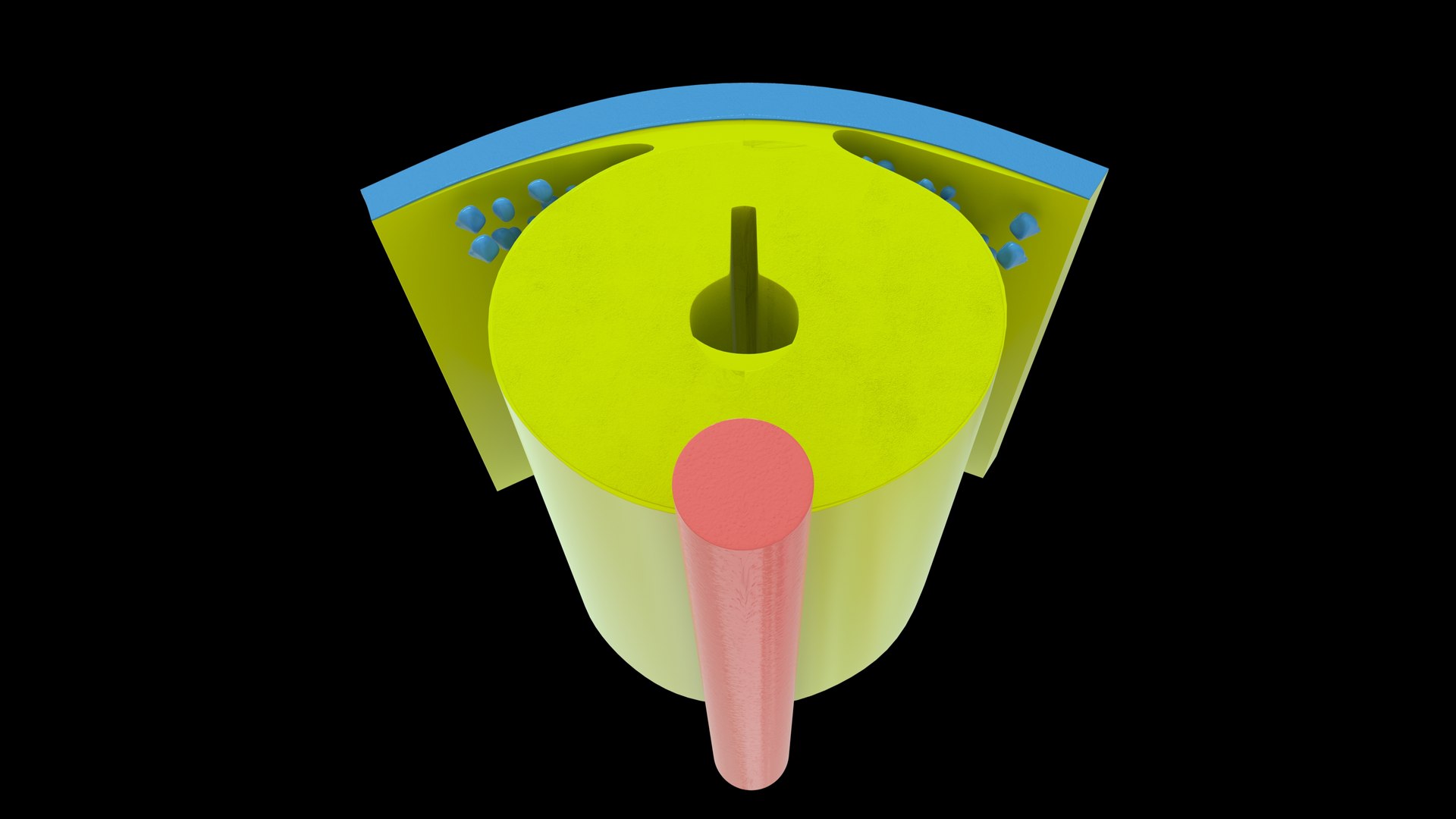 3D Neurulation Model - TurboSquid 2187645