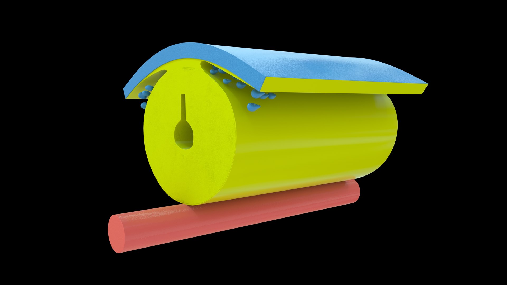 3D Neurulation Model - TurboSquid 2187645