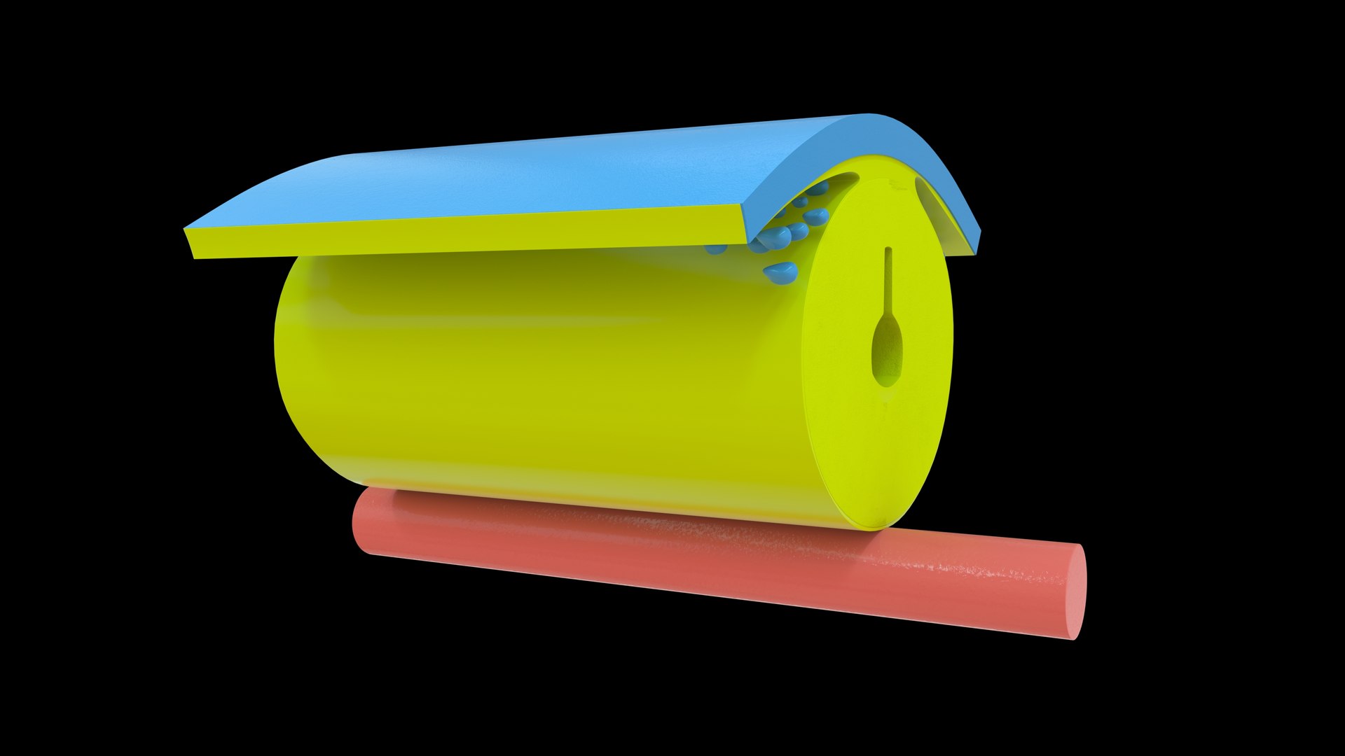 3D Neurulation Model - TurboSquid 2187645