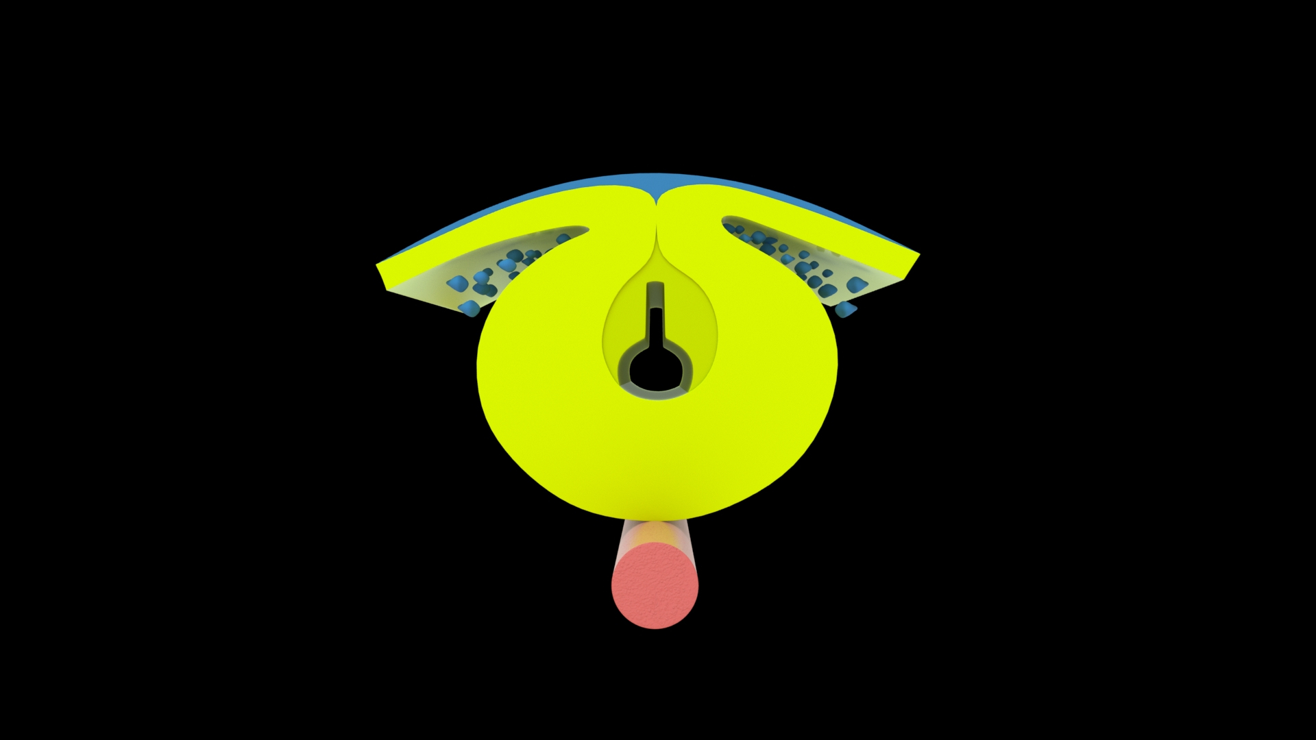 3D Neurulation Model - TurboSquid 2187645