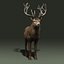 3d red deer stag fur model