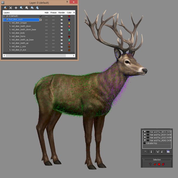 3d red deer stag fur model